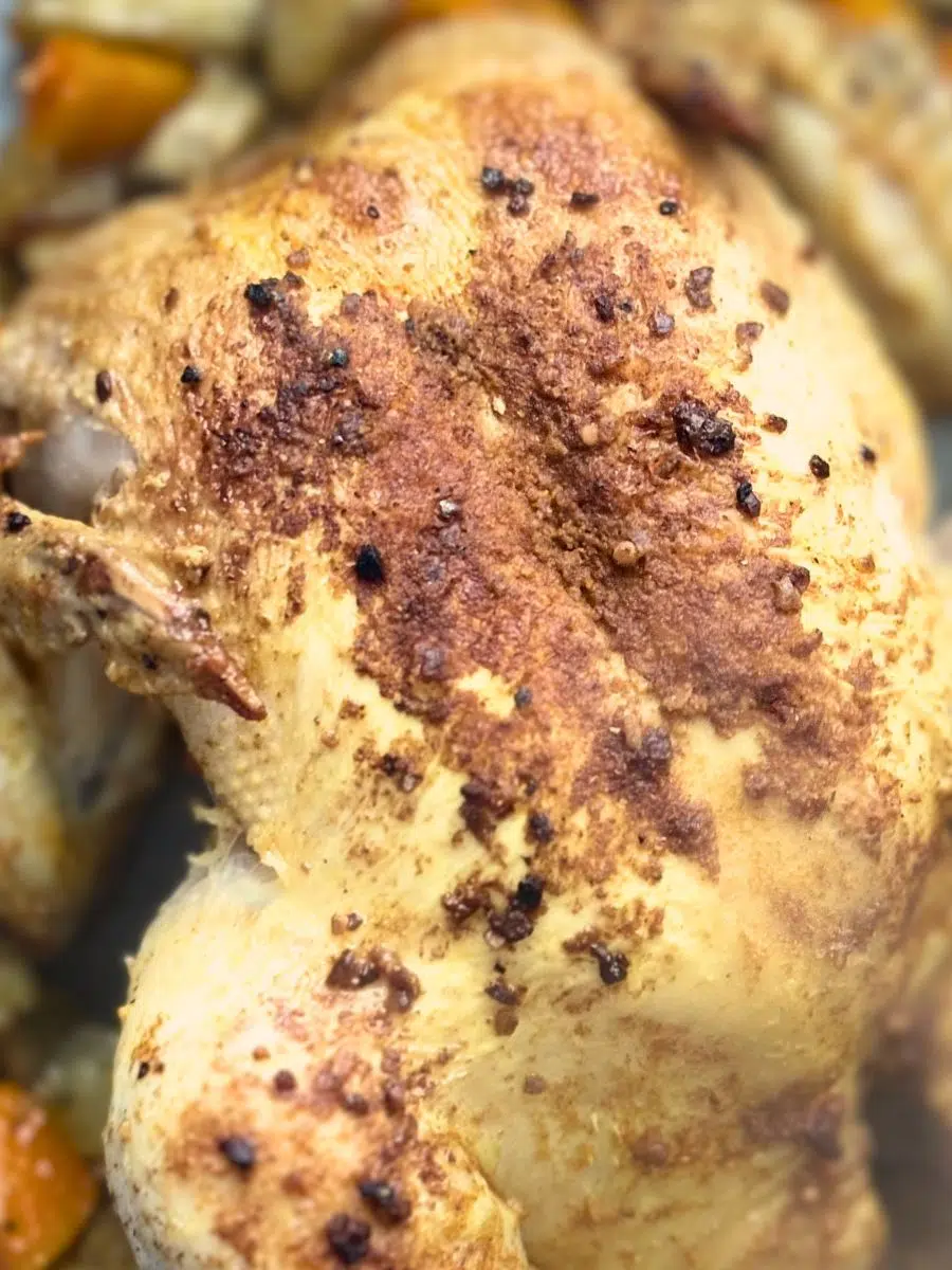 Easy 4 Ingredient Instant Pot Roast Chicken Recipe